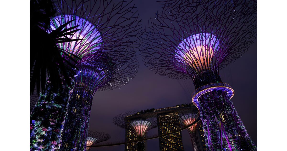 Tapéta Park Singapore 2, 400 x 250 cm | Pepita.hu