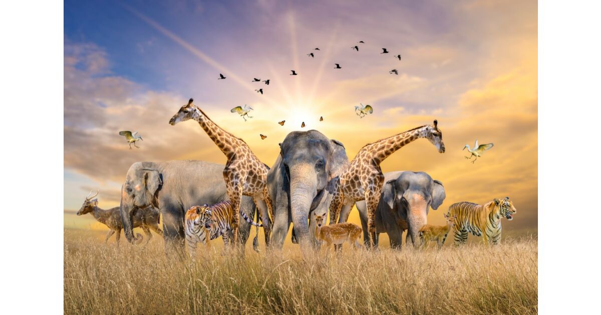 Fototapet de perete autoadeziv si lavabil Animale din savana africana ...