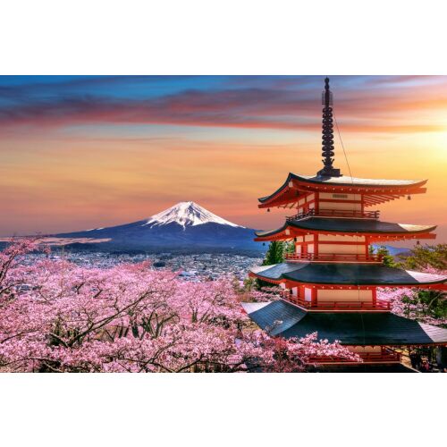 Öntapadós tapéta Flowers152 Japán templom cseresznyevirággal a ...