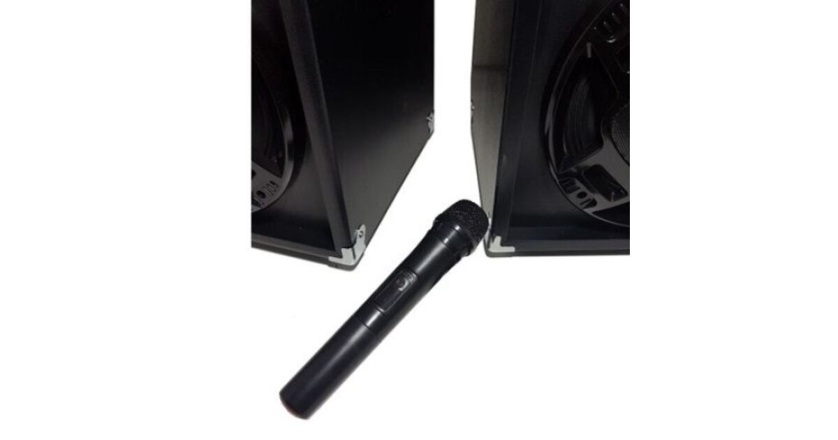 Boxe Profesionale DJ Effect KTA 2304 cu Microfon Wireless Sistem ...