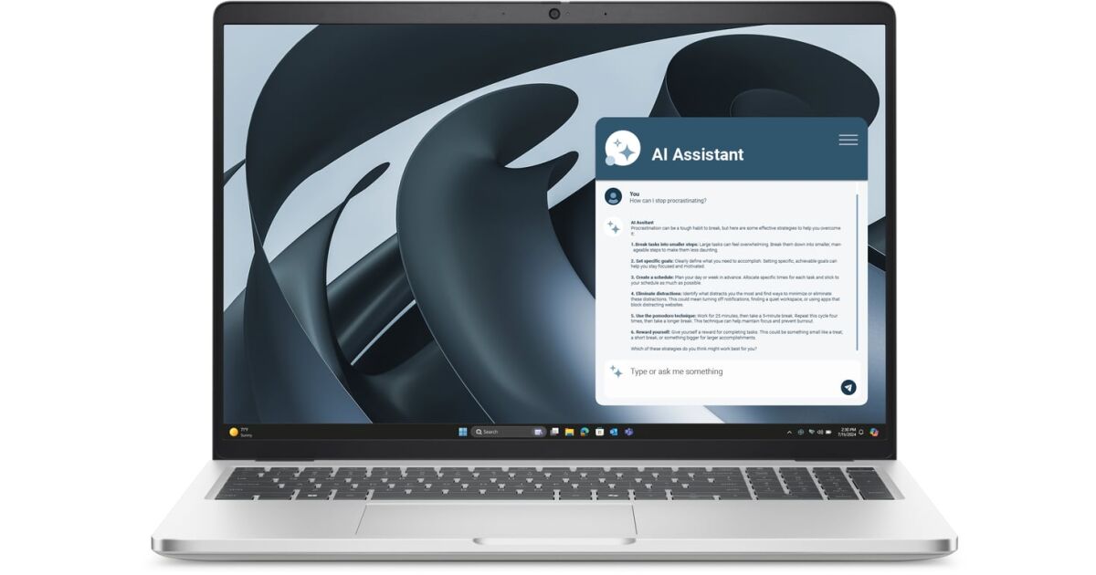 Dell Pro 16 Plus PB16255 W11P laptop AMD Ryzen 5 PRO 230/32GB/1TB/16.0 ...