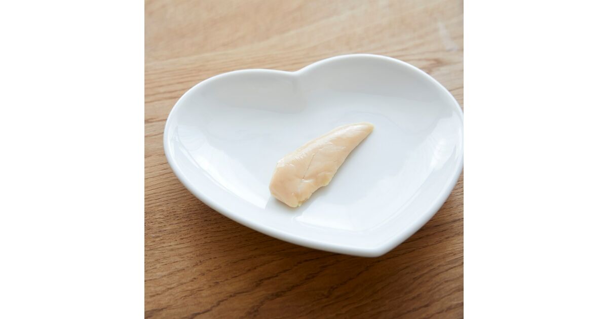 File de pui la grătar INABA în bulion de pui - delicatesă pentru pisici ...