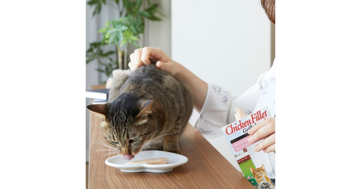 File de pui la grătar INABA în bulion de pui - delicatesă pentru pisici ...