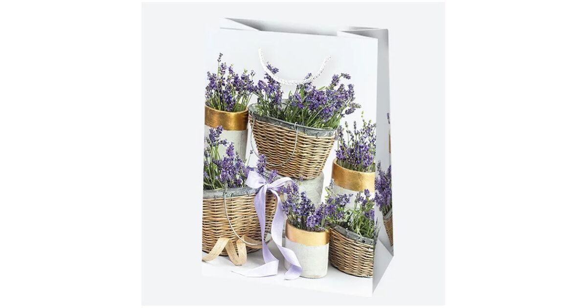Pungă cadou IRIS, în diferite culori și modele, 290x400x120 mm | Pepita.com