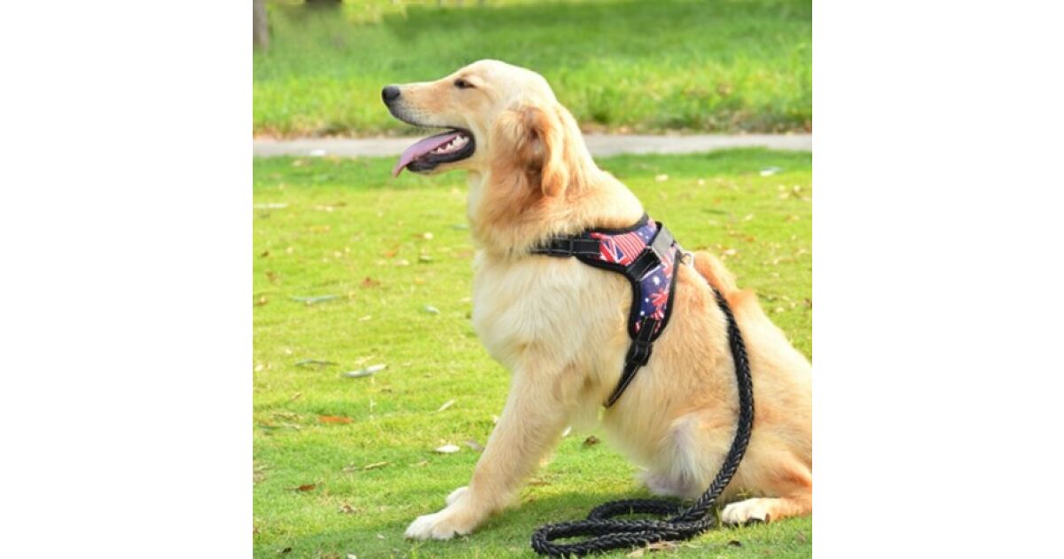 Ham reglabil pentru catei, Zola®, ajustabil, carlig pentru lesa ...