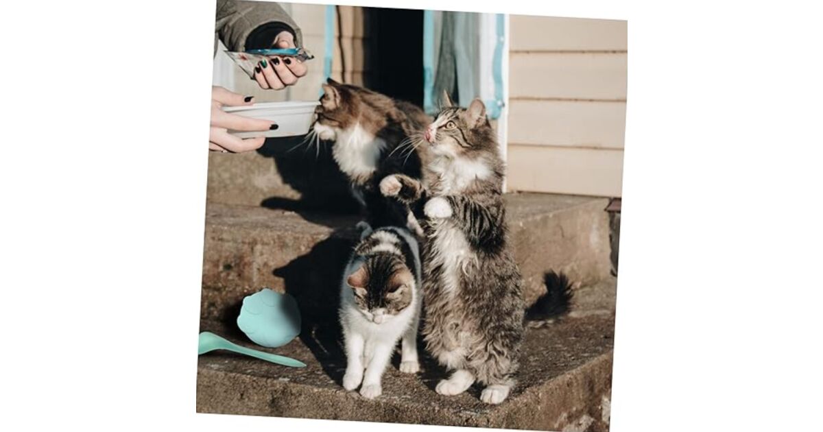 Capac universal pentru mancarea animalelor de companie, Zola®, din ...