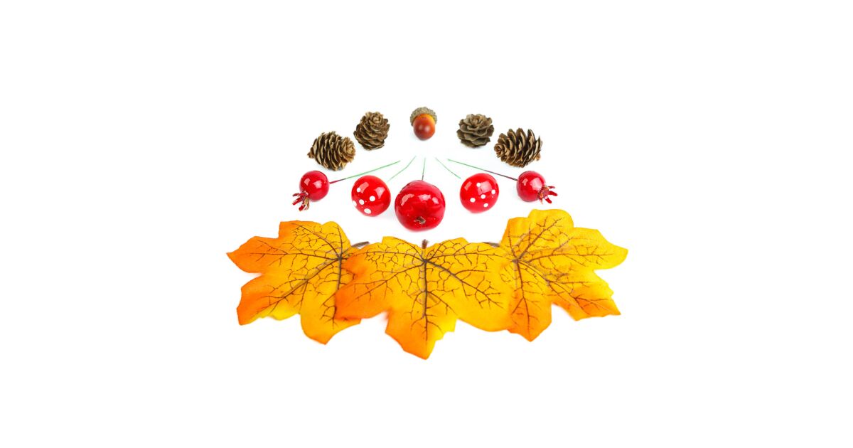 Decoratiune de toamna – Set frunze, conuri de brad si dovleci – 4 ...