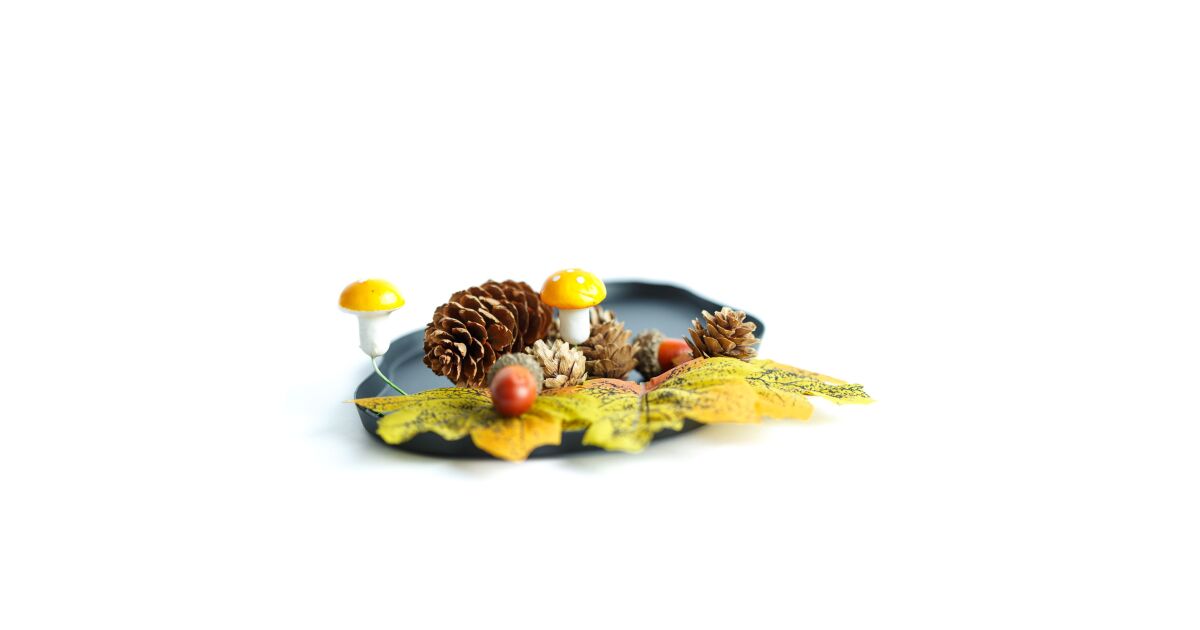 Decoratiune de toamna – Set frunze, conuri de brad si dovleci – 4 ...