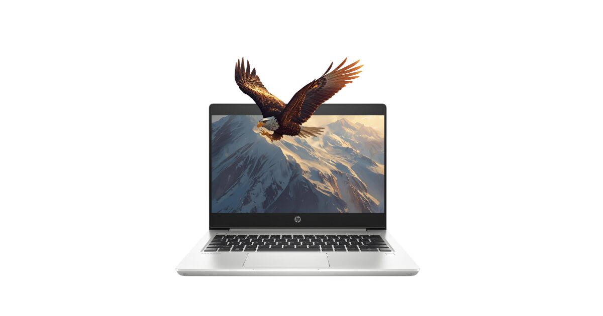HP EliteBook 745 G6 | Win11 | Ryzen 5 PRO 3500U | 16GB memória | 2TB ...