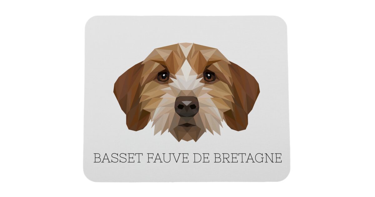 Basset Breton, Basset Fauve de Bretagne - geometrikus egérpad fotóval ...