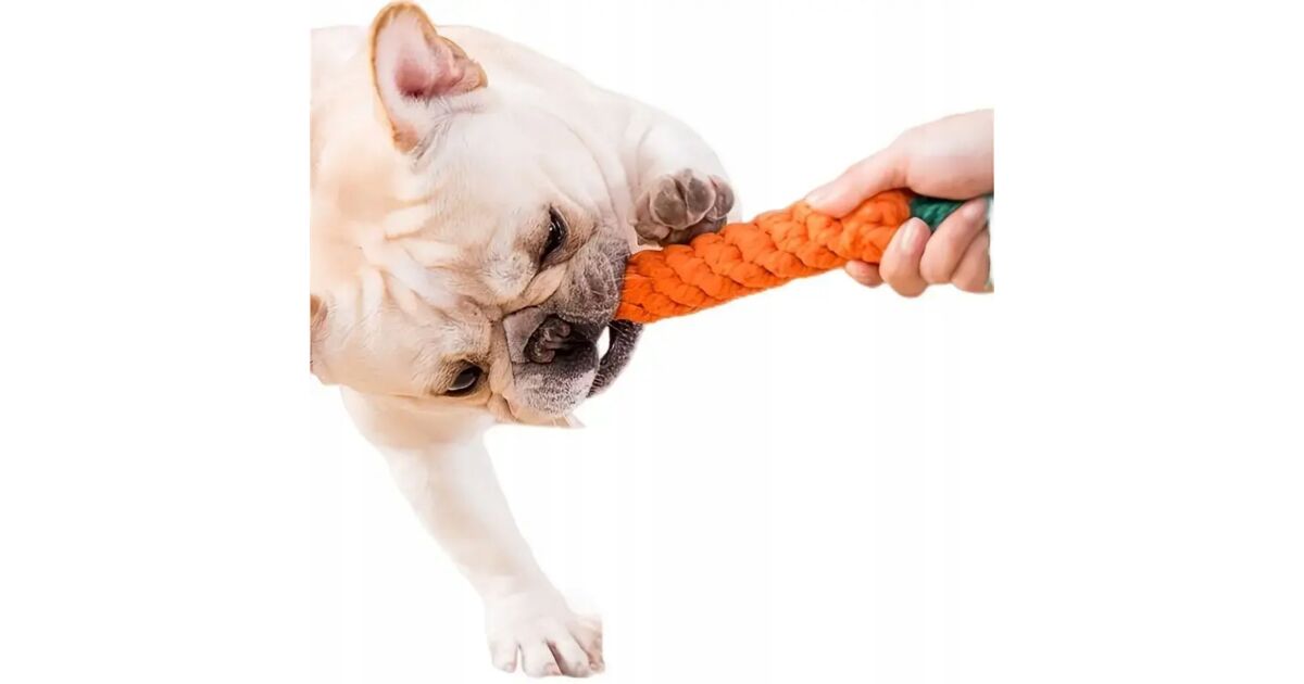 Fonott RÉPA KÖTÉL kutyajáték tisztítja a fogakat a RÉPA játékhoz ...