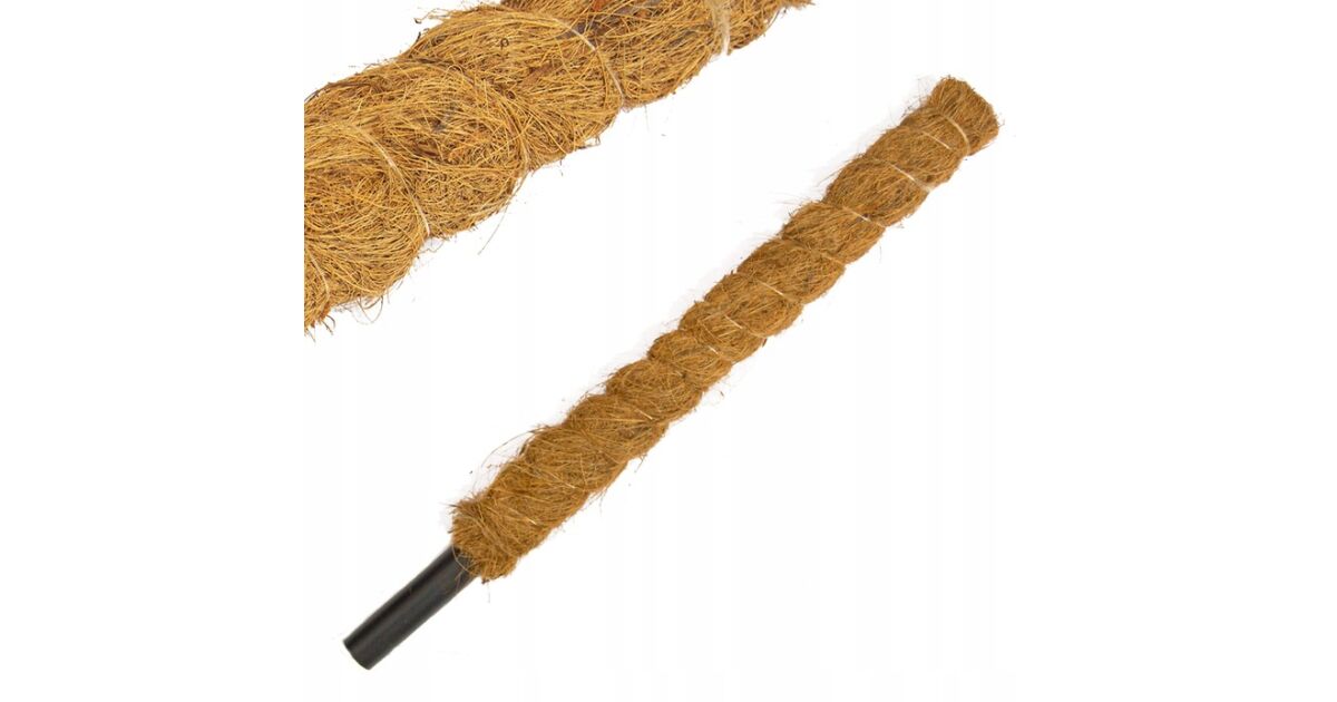 KÓKUSZDIÓS CÖK 40CM-ES TÁMASZ MONSTERA VIRÁGNÖVÉNYEKHEZ, VASTAG 32MM ...