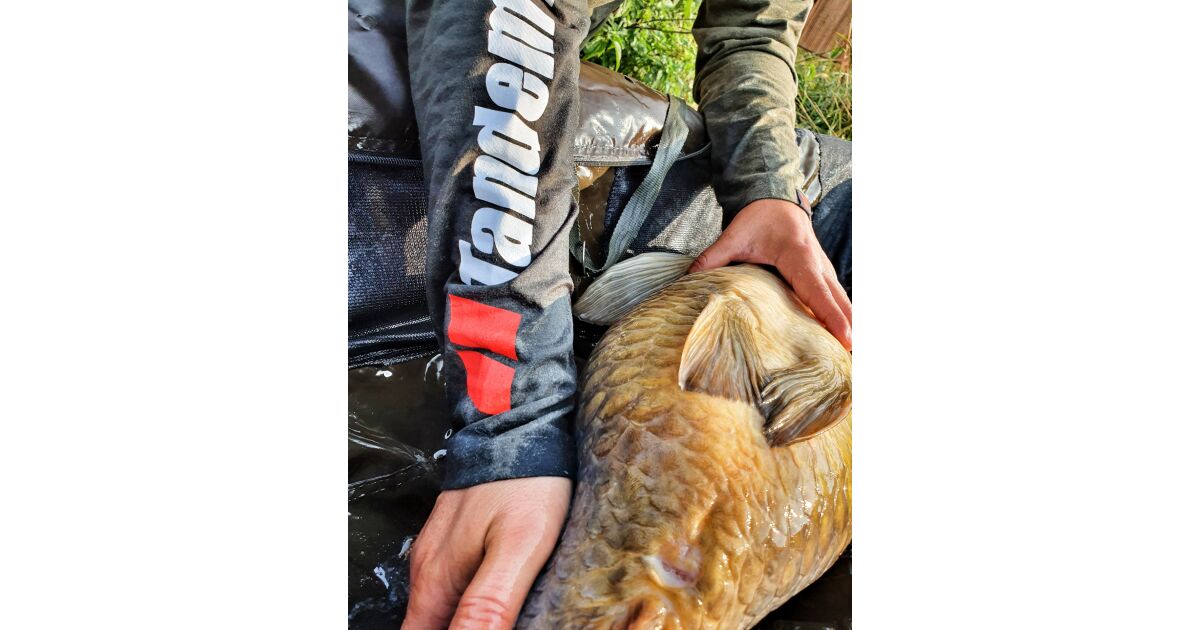 Carp Food Karpiowy Attract Activator 500ml Homar & Rak | Pepita.hu