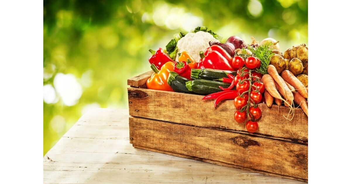 Optima granulált csirketrágya 5l természetes öko trágya Biovita | Pepita.hu