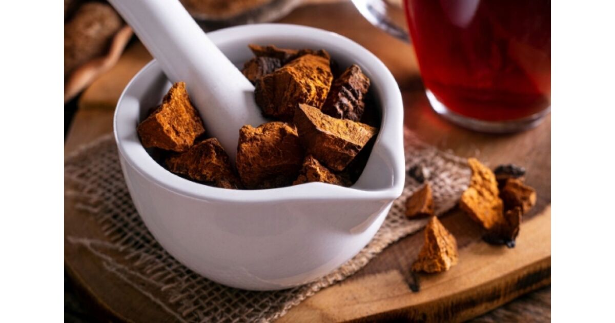 CHAGA BIO ECO (Poliszacharidok 50%) 500 mg 60 kapszula - étrend ...