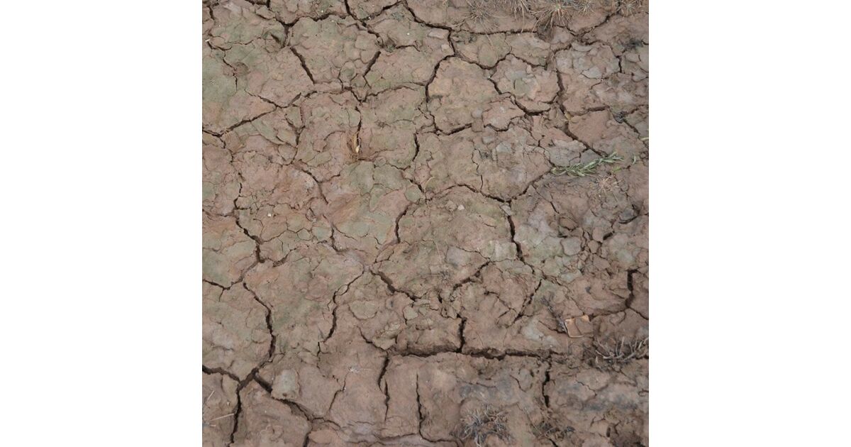 AK Interactive WET CRACKLE EFFECTS - 100ml (Acrylic) (AK8034) | Pepita.hu