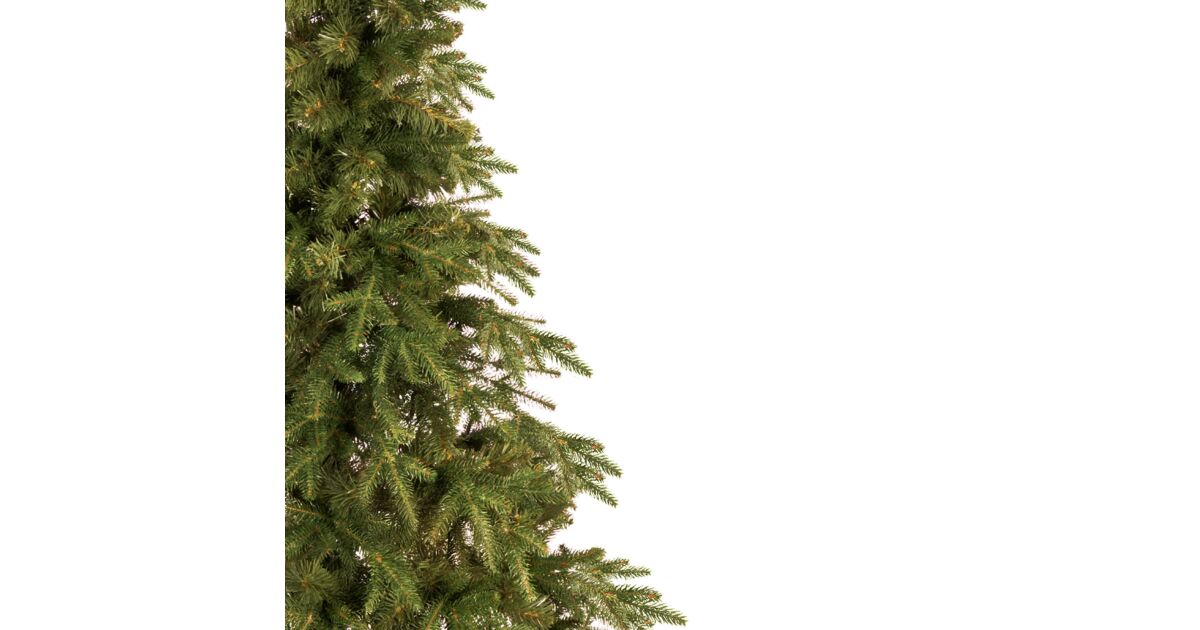 Ct0258 Himalájai lucfenyő prémium 240 cm | Pepita.hu