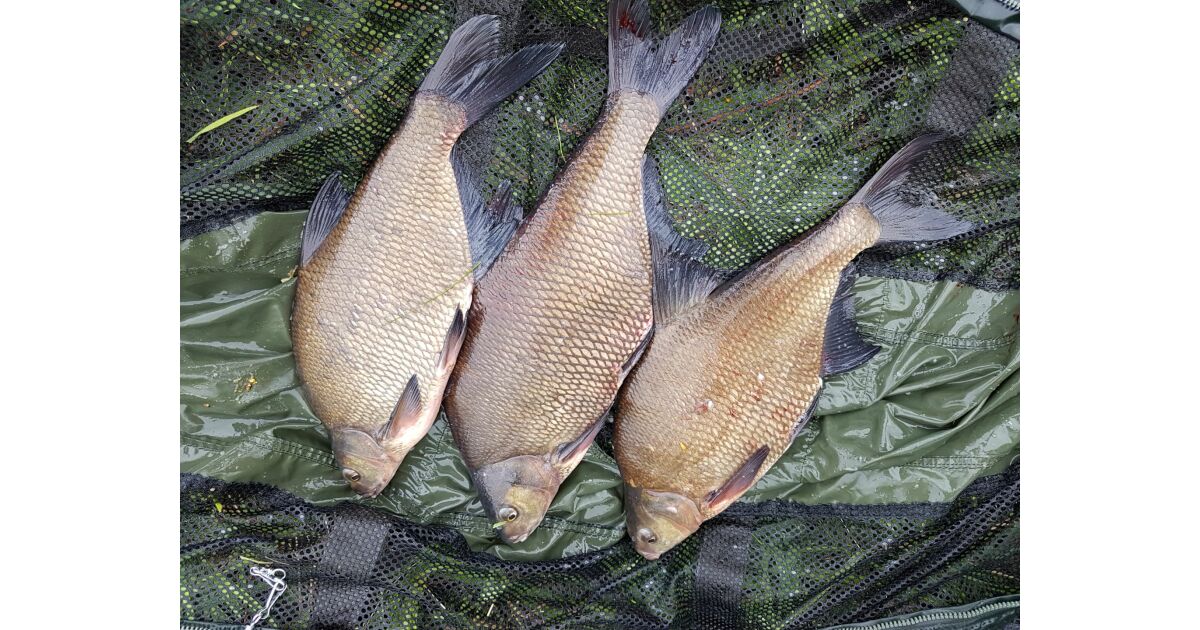 MF Diffusion Micro Chunks 8mm/20g - Eper Supreme method csalik | Pepita.hu