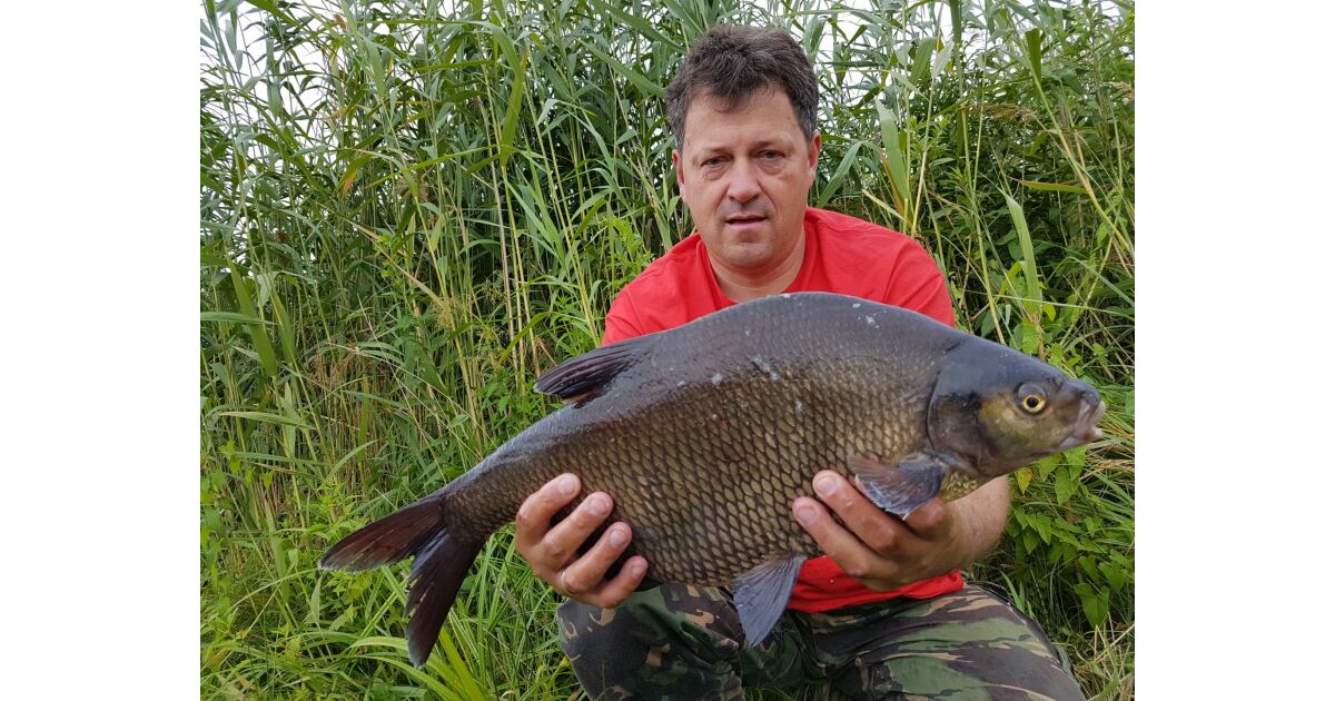 MF Diffusion Micro Chunks 8mm/20g - Eper Supreme method csalik | Pepita.hu