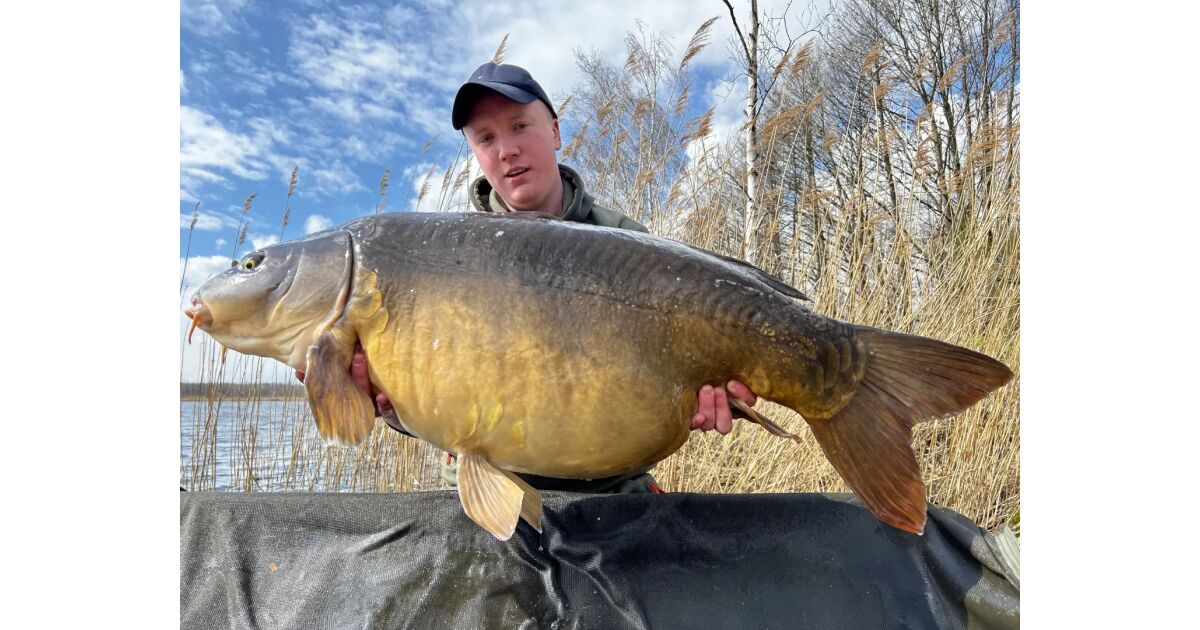 Carp Food Ready Corn 5kg Tökéletes Eper | Pepita.hu