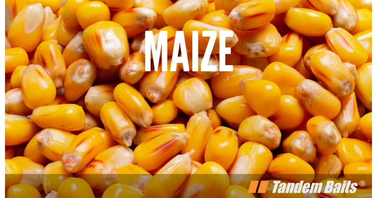 Carp Food Ready Corn 5kg Tökéletes Eper | Pepita.hu