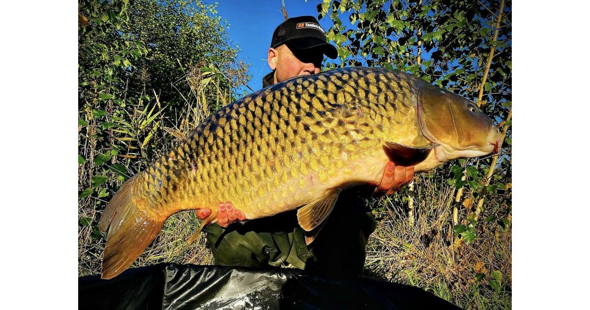 SuperFeed Hook Fatty Pellet 14mm/150g Chili Robin Red | Pepita.hu