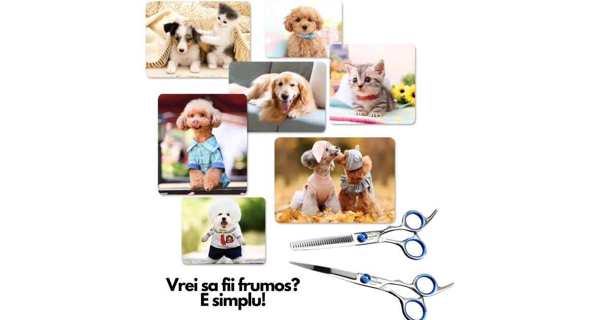 Set 2 foarfece profesionale pentru ingrijirea cainilor, piepten, geanta ...