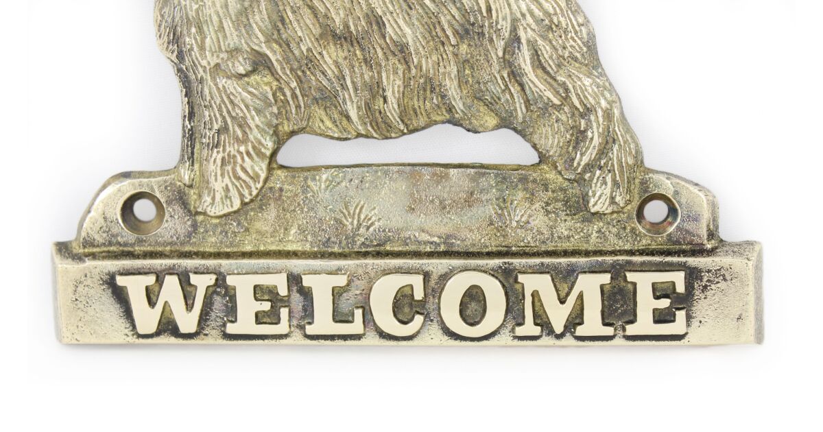 West Highland White Terrier, westie - kutyás ajtótábla, sárgaréz ...