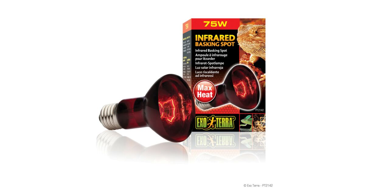 Exo Terra Infrared Basking Spot Lamp | Infravörös melegítő izzó - 75 W ...