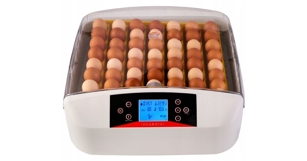 Keltetőgép Keltetőgép tojásokhoz, baromfihoz, madárhoz, 56 db, LED ...