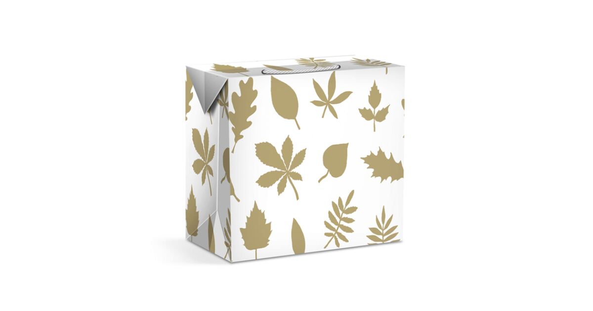 Pungă de cadouri - hârtie - 225 x 135 x 200 mm - 2 modele / pachet - 12 ...
