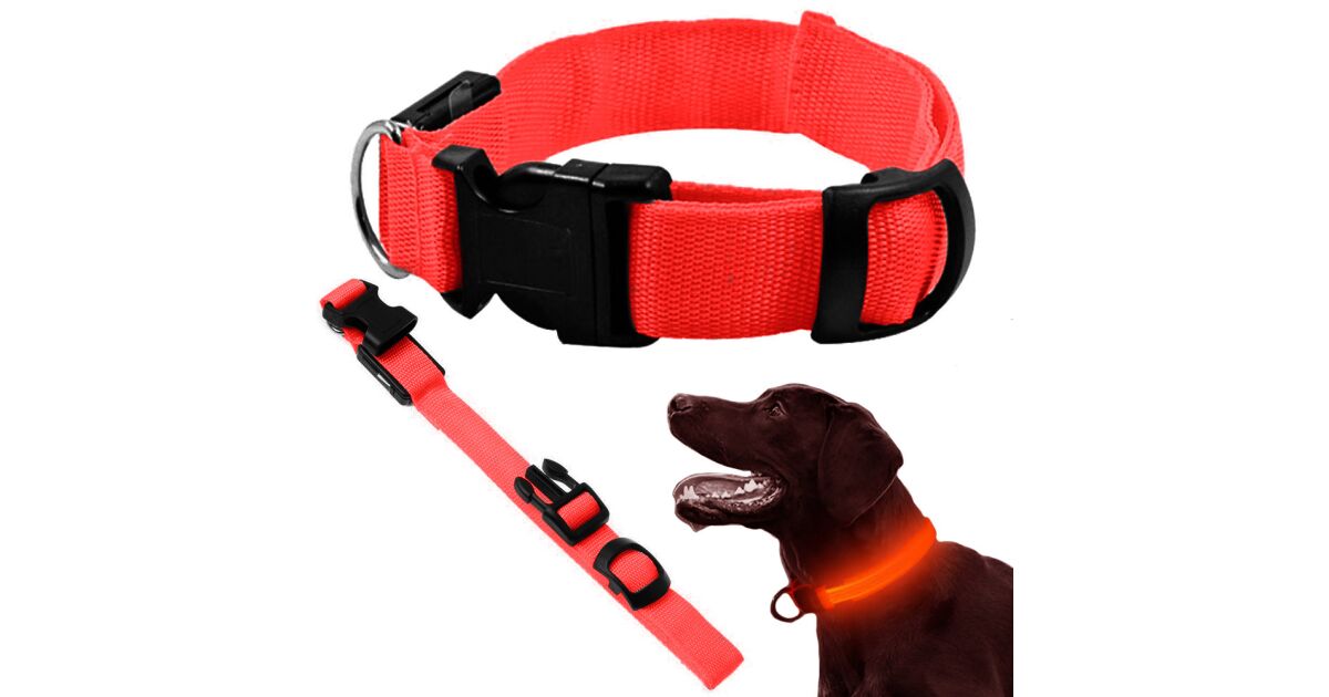 Zgardă reglabilă cu iluminare LED roșie pentru câini și pisici | Pepita.com