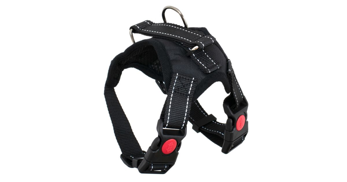 Postroj pre psa, reflexný, pohodlný, veľkosť L | Pepita.com