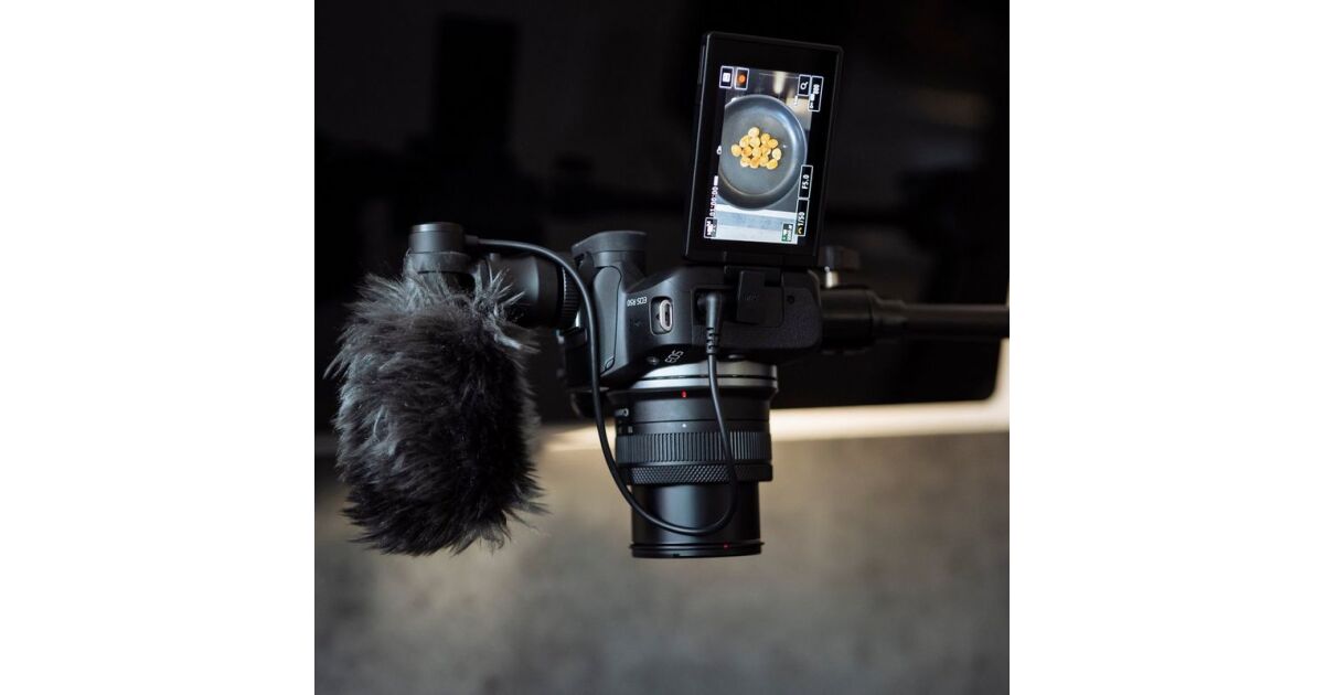 Canon EOS R50 Mirrorless Camera Content Creator Kit MILC 24,2 MP CMOS ...