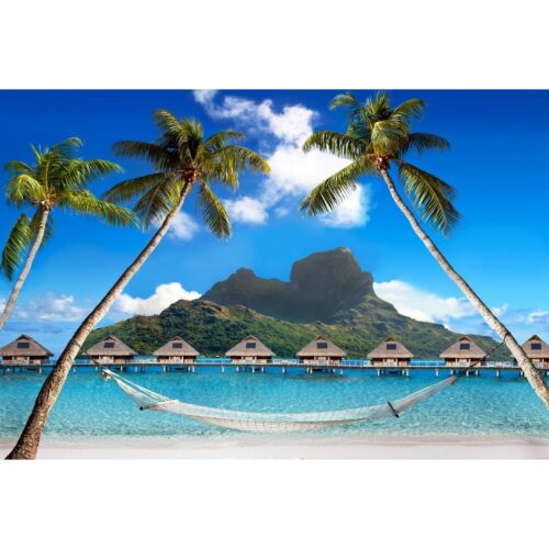 Tablou canvas, MEDIA, Balansoar intre palmieri, 45 x 30 cm | Pepita.com