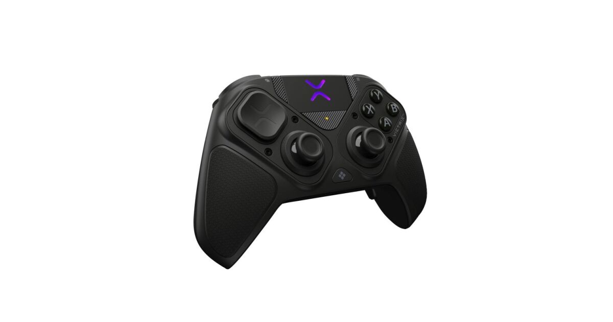 Turtle Beach Victrix Pro BFG Reloaded Gaming Controller for PC, Grey ...