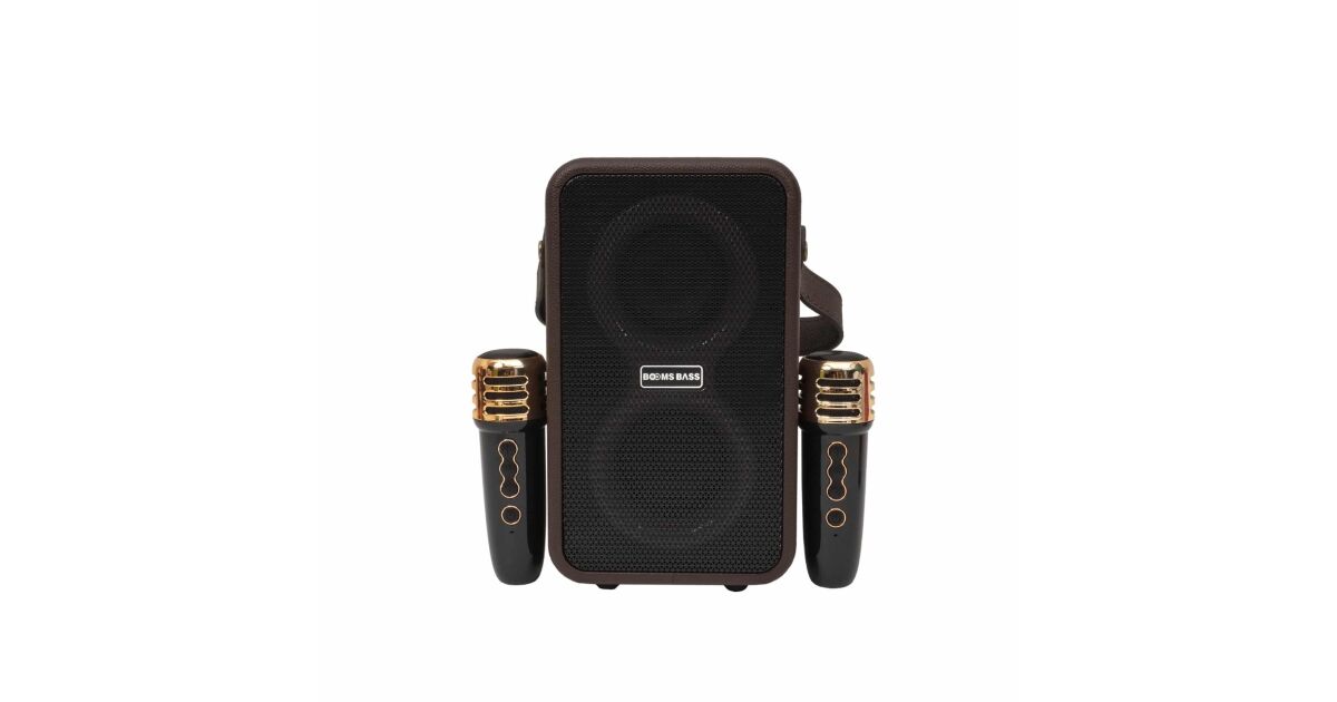 Boxa portabila cu lumini LED si 2 microfoane incluse pentru karaoke si ...
