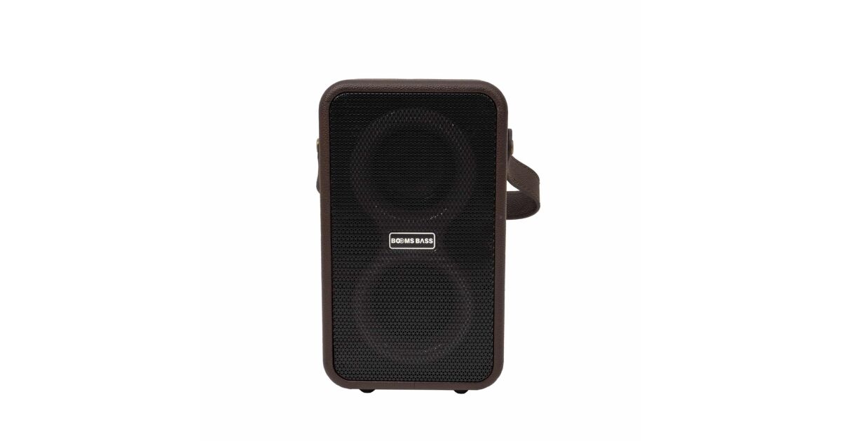 Boxa portabila cu lumini LED si 2 microfoane incluse pentru karaoke si ...