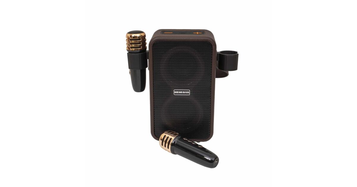 Boxa portabila cu lumini LED si 2 microfoane incluse pentru karaoke si ...