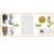 HOME D6N sonerie cu fir, 36 de melodii, volum reglabil, alimentare de ...