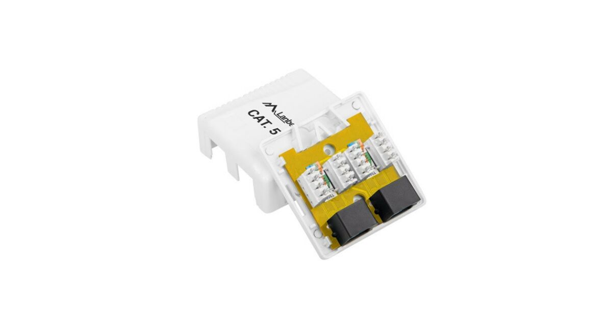 Lanberg OU5-0002-W Cat.5e UTP 2xRJ45 Doppel-Wandsteckdose (ungeschirmt ...