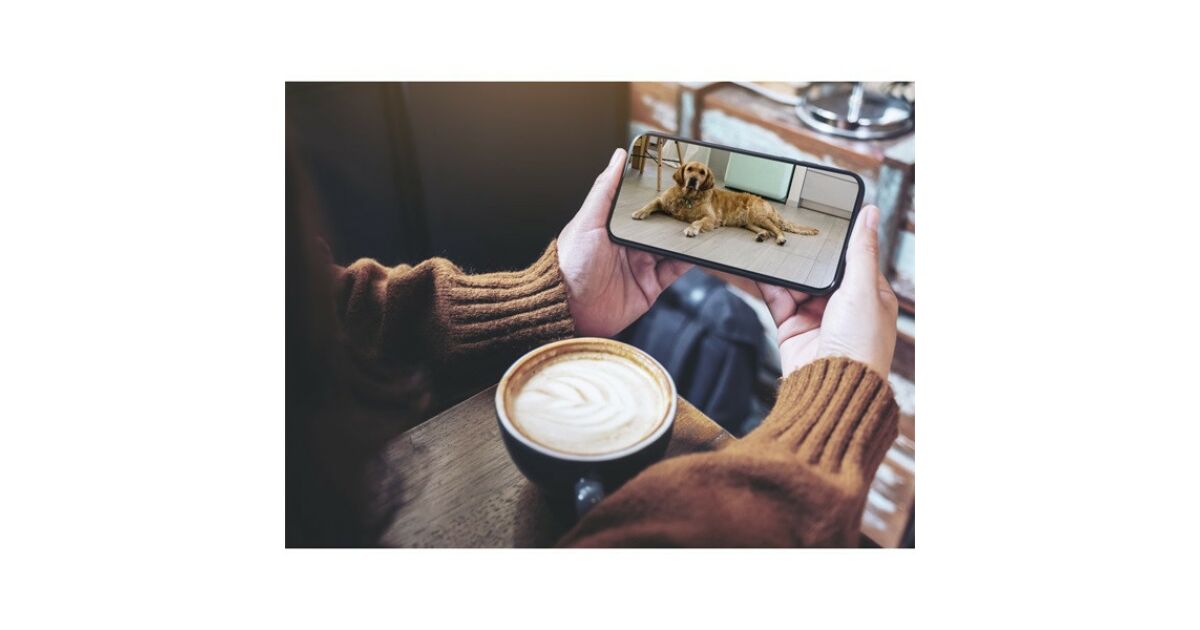 Hama 176566 interiérová smart WiFi kamera s nočným videním 1080P ...