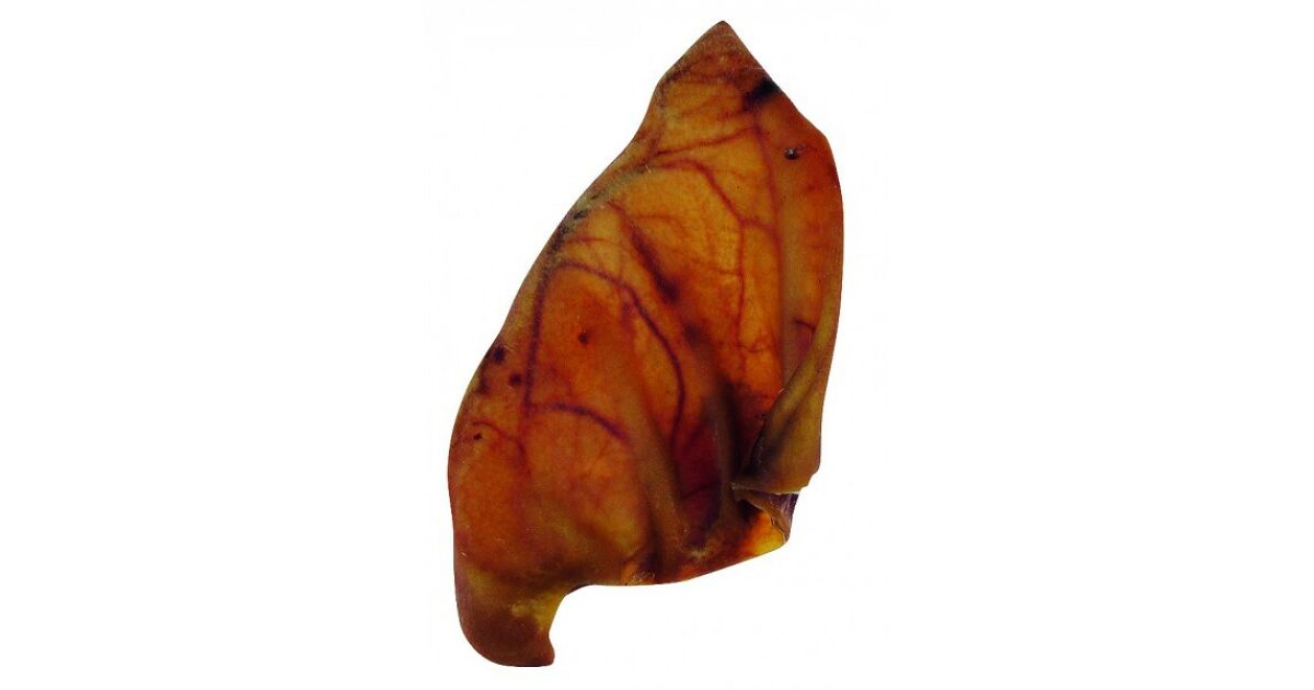 Ureche de porc afumată | Pepita.com