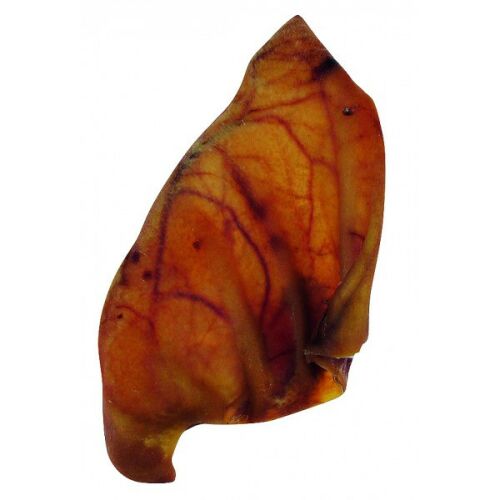 Ureche de porc afumată | Pepita.com