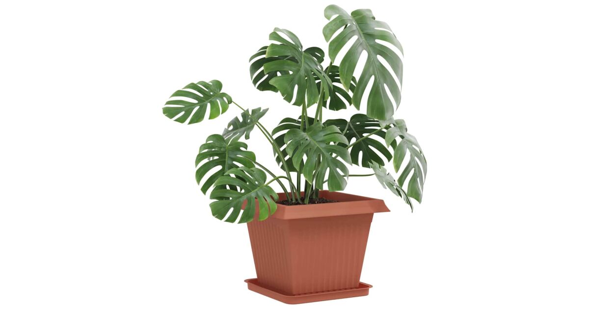 vidaXL Tavă Pătrată pentru Flori 24 pcs Roșu cărămidă 36 x 36 x 2.5 cm ...