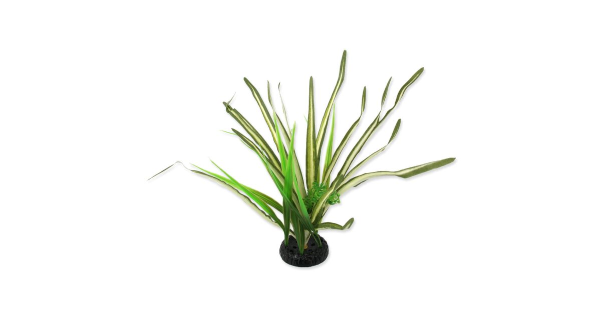RP Spartina fű növény 30cm | Pepita.hu