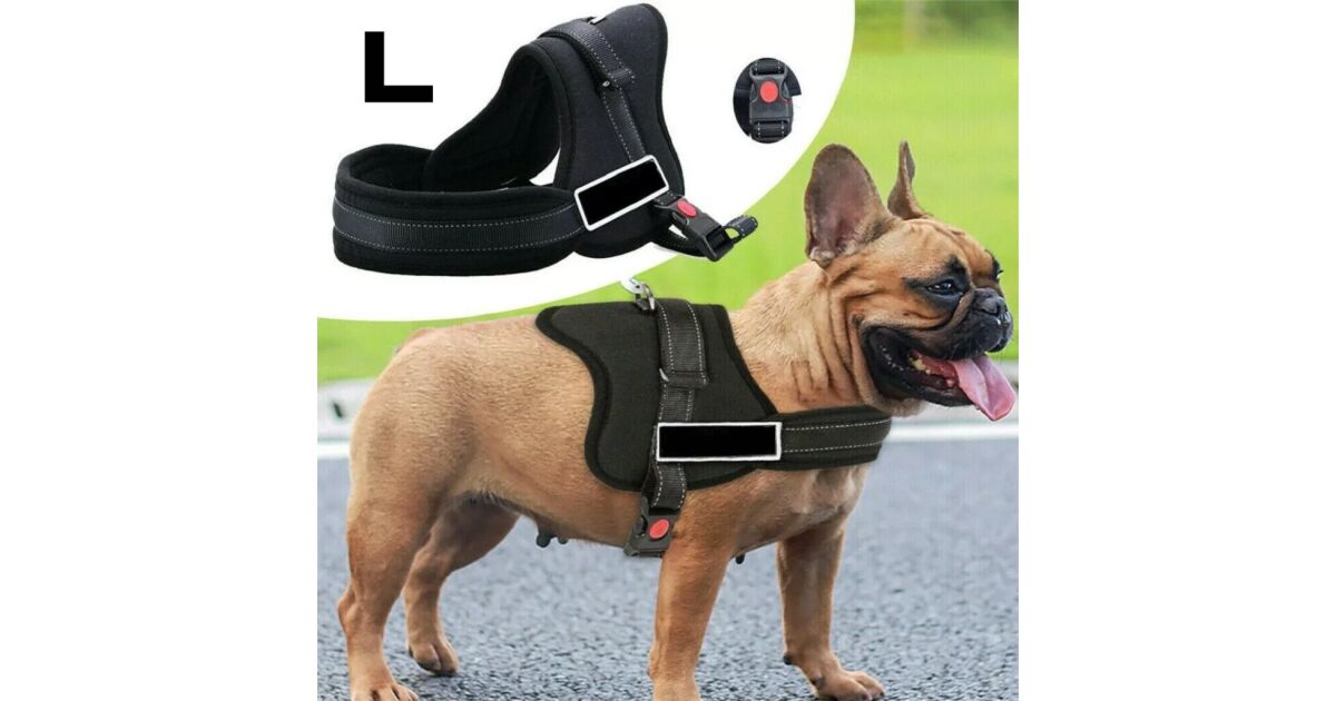 Postroj pre psa SENIOR DOG L (70 - 90 cm) | Pepita.com