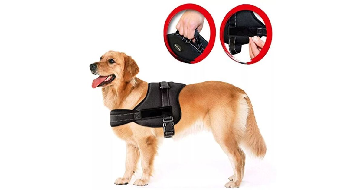 Postroj pre psa SENIOR DOG L (70 - 90 cm) | Pepita.com