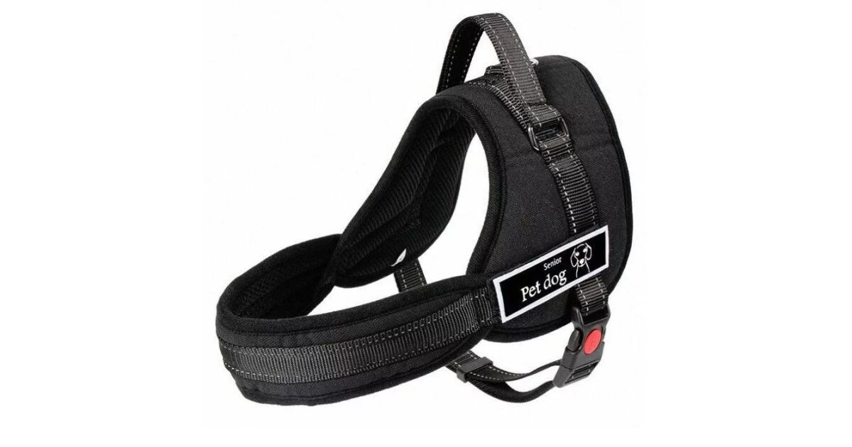 Postroj pre psa SENIOR DOG L (70 - 90 cm) | Pepita.com