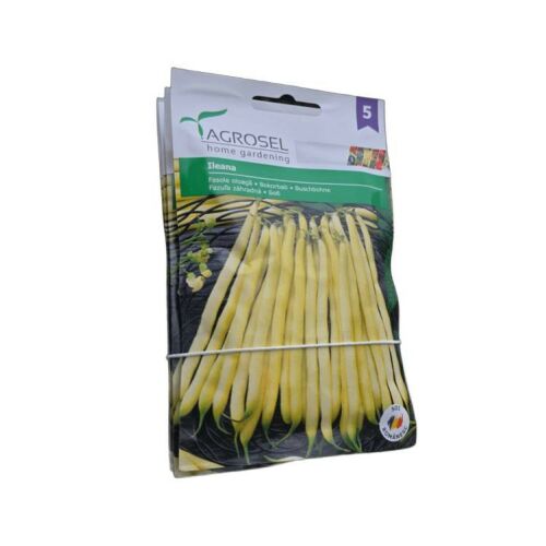 Semințe de fasole de tufă ILEANA 45 boabe 1 pachet KERTMESTER AGROSEL ...